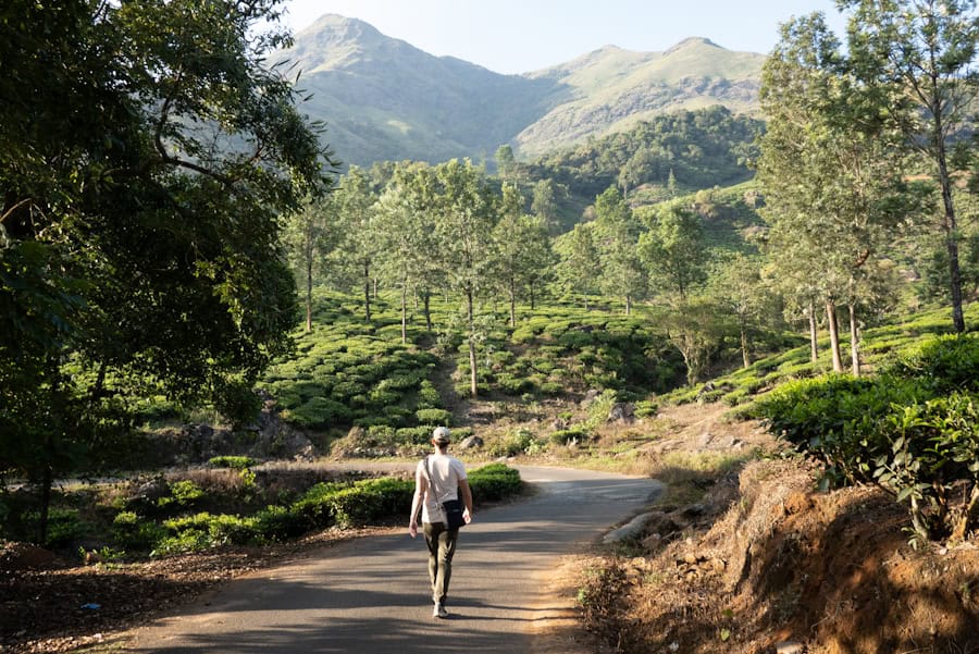 De hoogtepunten van onze reis door Kerala, India - My Travel Secret